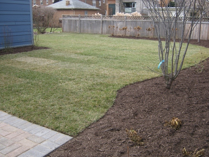 Landscaping for a New Construction Home - Dig Right In Landscaping, Inc